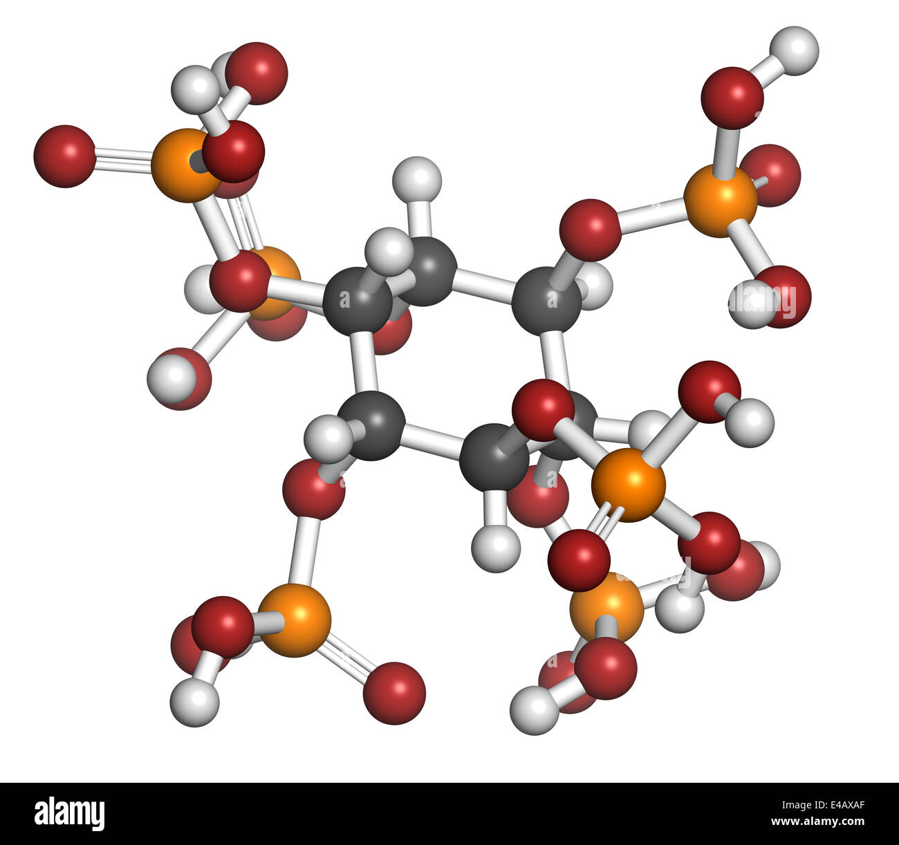 Phytate hi-res stock photography and images - Alamy
