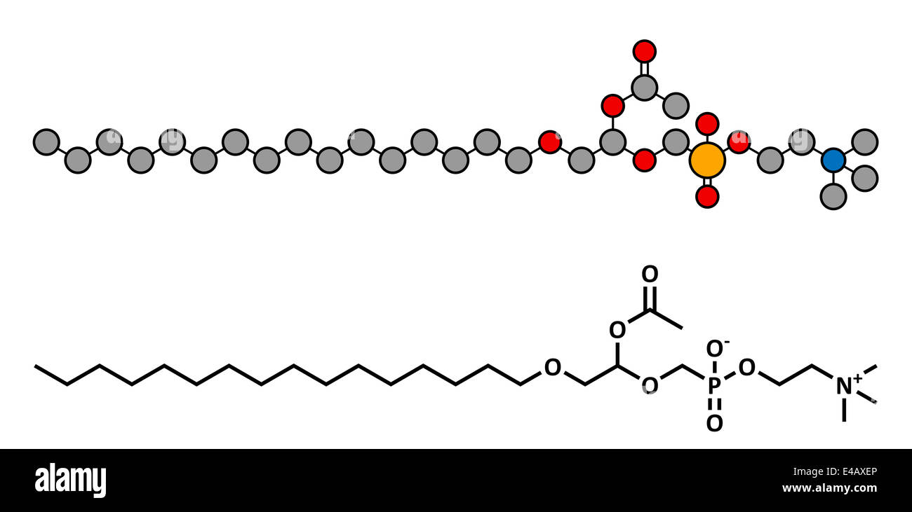 Platelet-activating factor molecule. Plays role in thrombosis ...