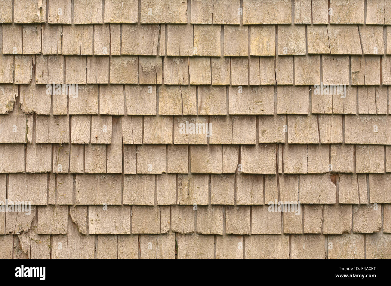 Texture -Old wooden boards background Stock Photo - Alamy