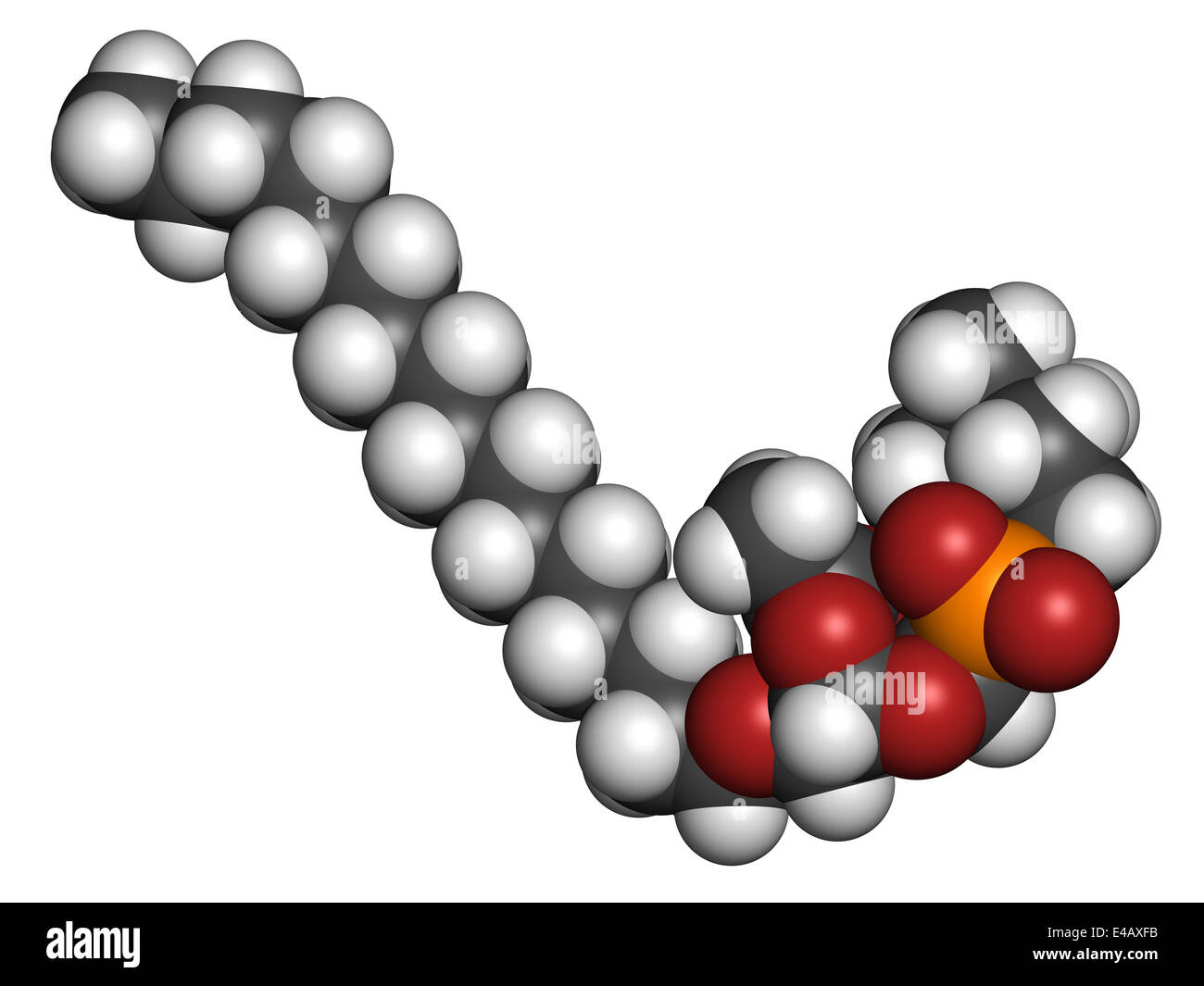 Platelet-activating factor molecule. Plays role in thrombosis ...