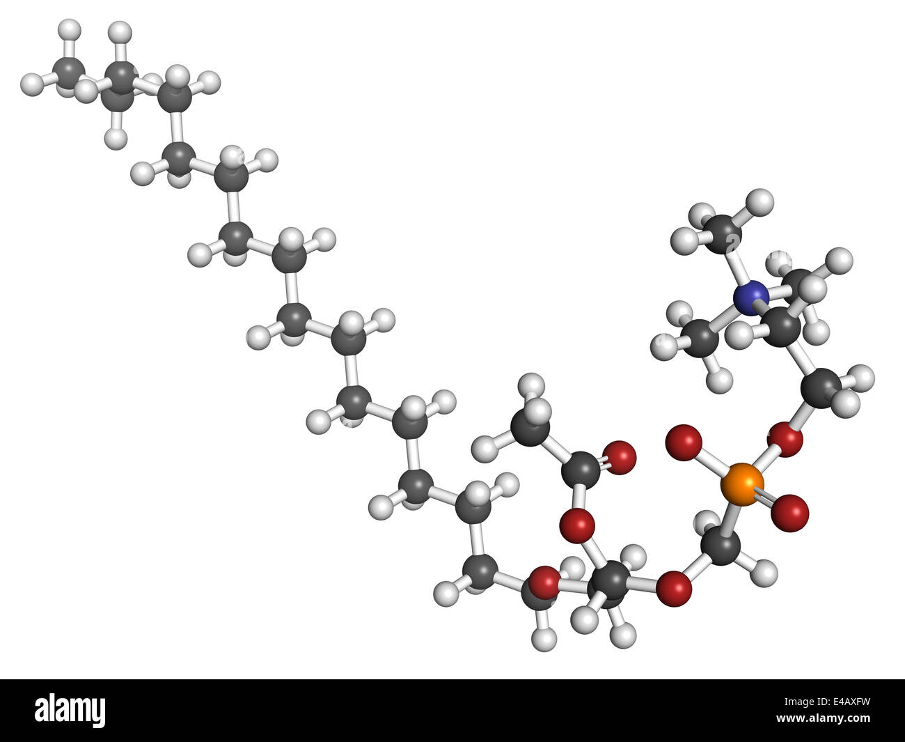 Platelet-activating factor molecule. Plays role in thrombosis ...