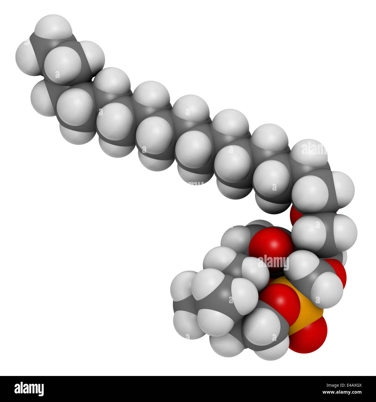 Platelet-activating factor molecule. Plays role in thrombosis ...