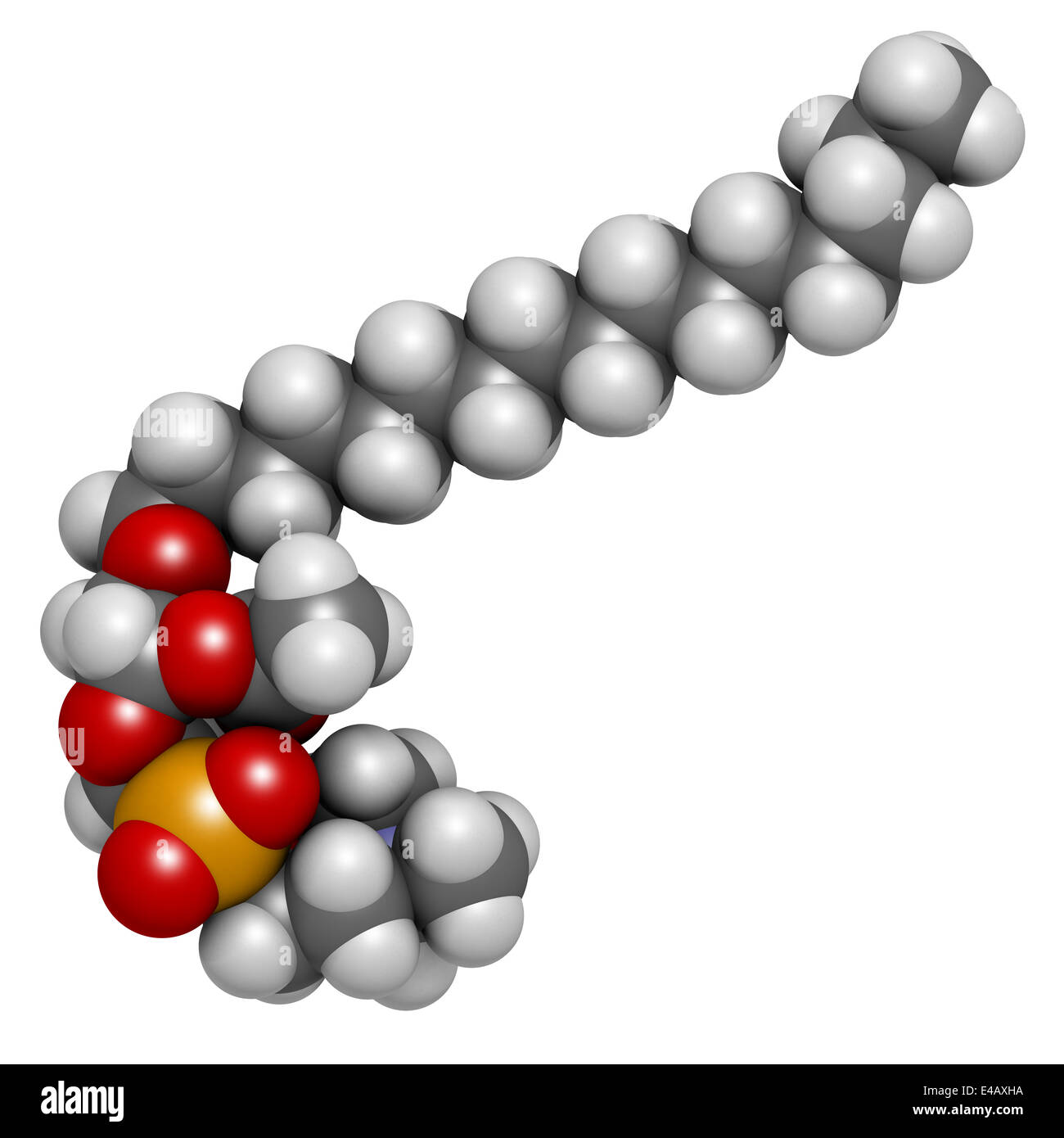 Platelet-activating factor molecule. Plays role in thrombosis ...