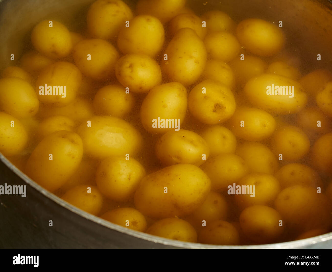 Prepare pot hi-res stock photography and images - Alamy