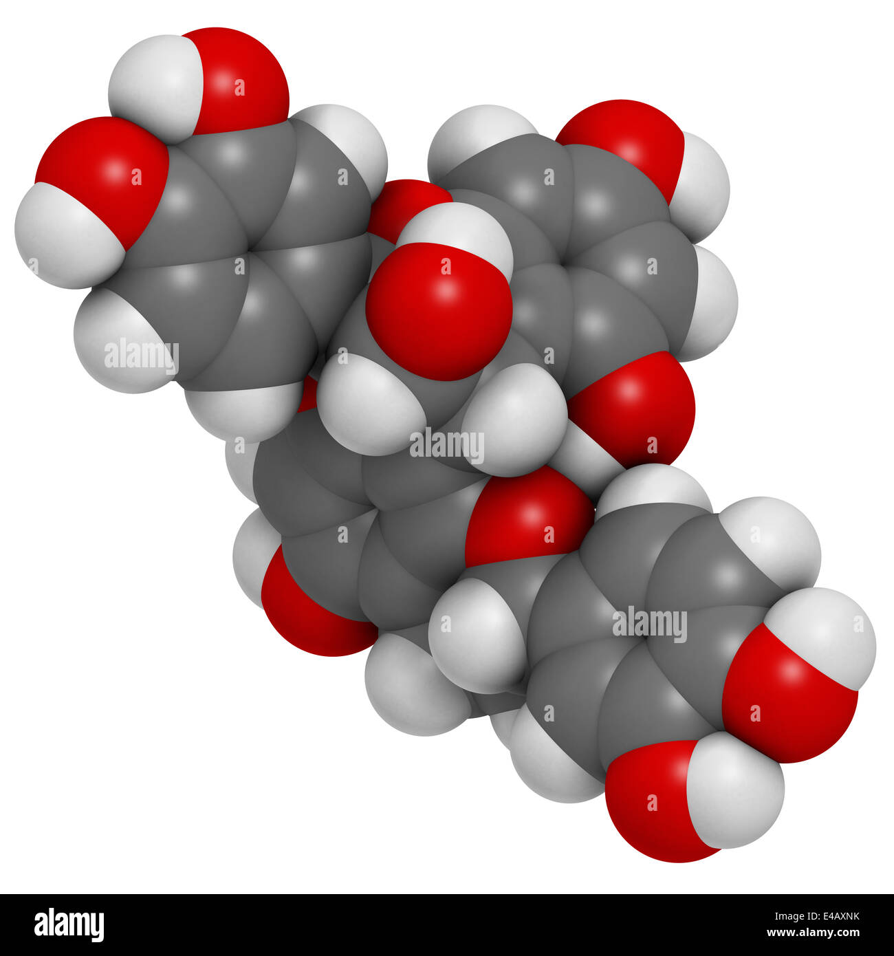 Proanthocyanidin A2 (procyanidin A2, PAC A2) molecule. Present in ...