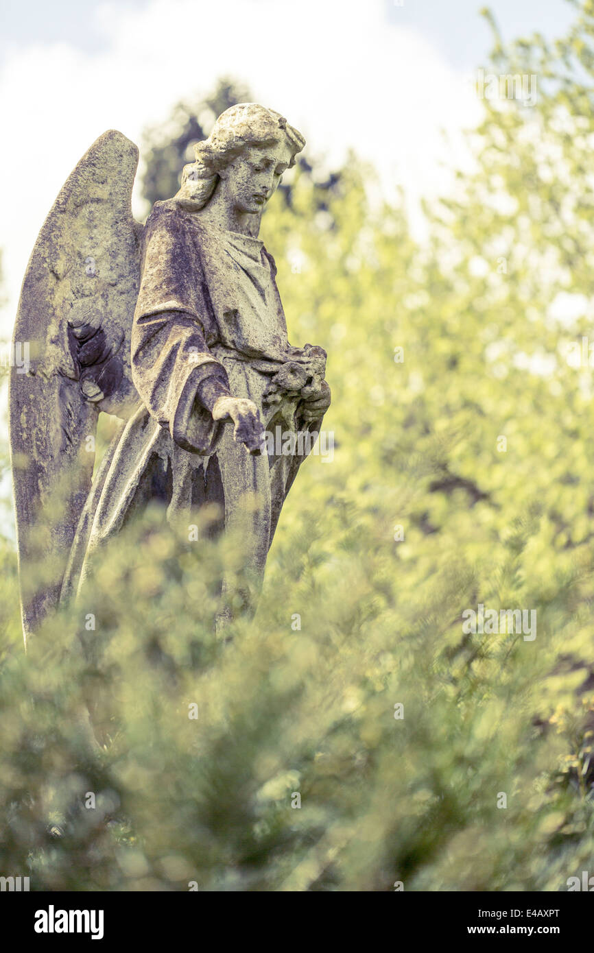 angel sculpture between blurred spring foliage. Unknown Artist of the ...