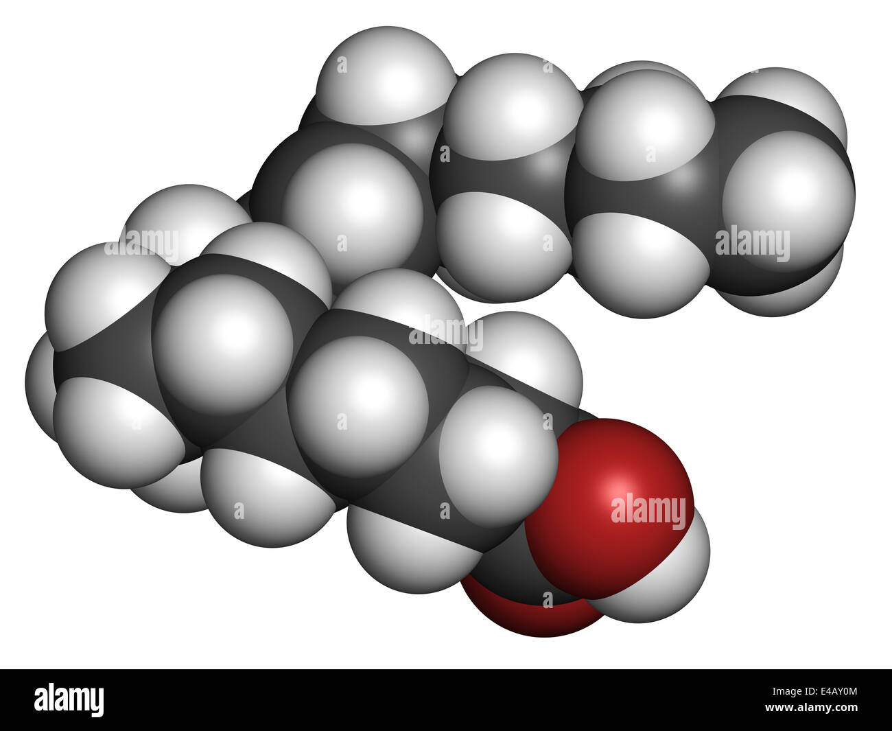 Rumenic acid (bovinic acid, conjugated linoleic acid, CLA) fatty acid ...