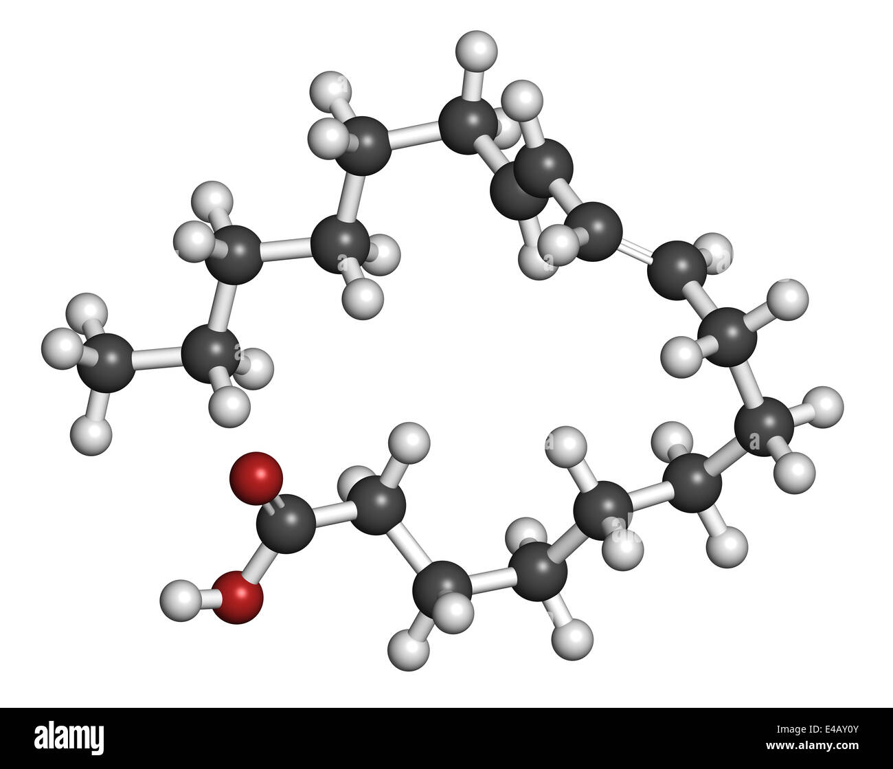 Rumenic acid (bovinic acid, conjugated linoleic acid, CLA) fatty acid ...