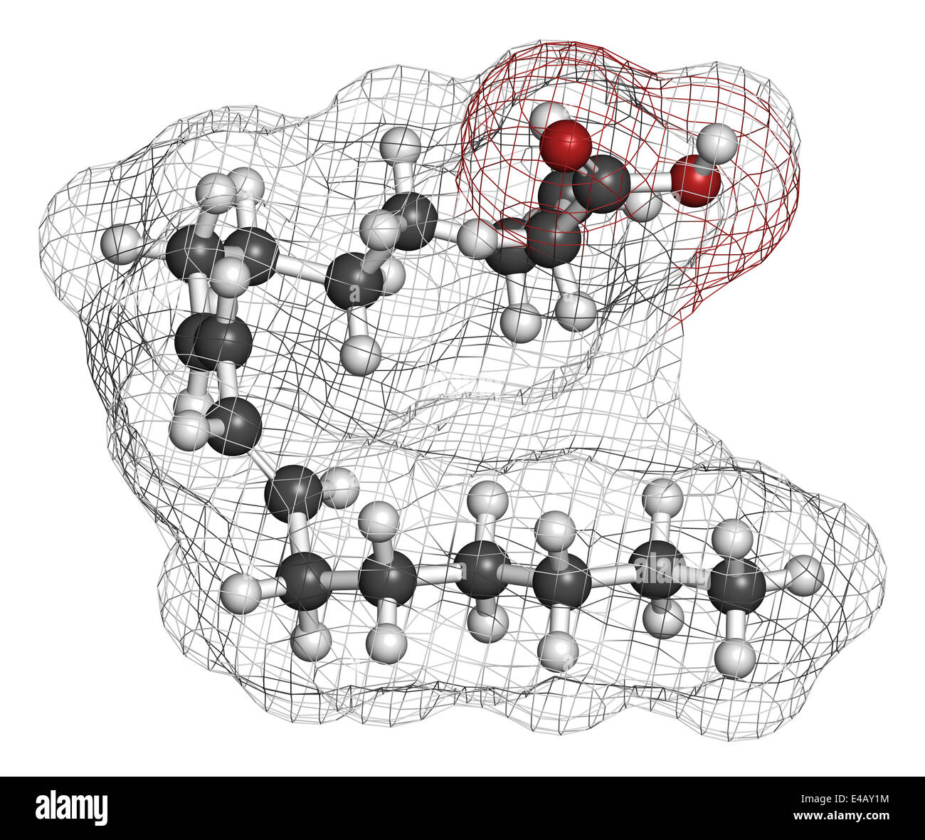 Rumenic acid hi-res stock photography and images - Alamy