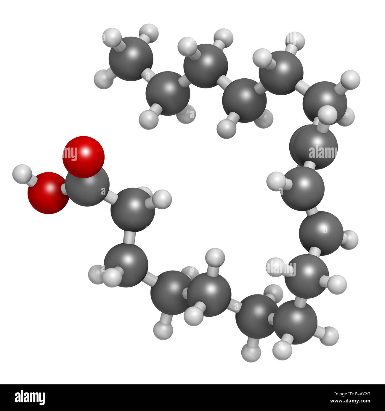 Rumenic acid (bovinic acid, conjugated linoleic acid, CLA) fatty acid ...
