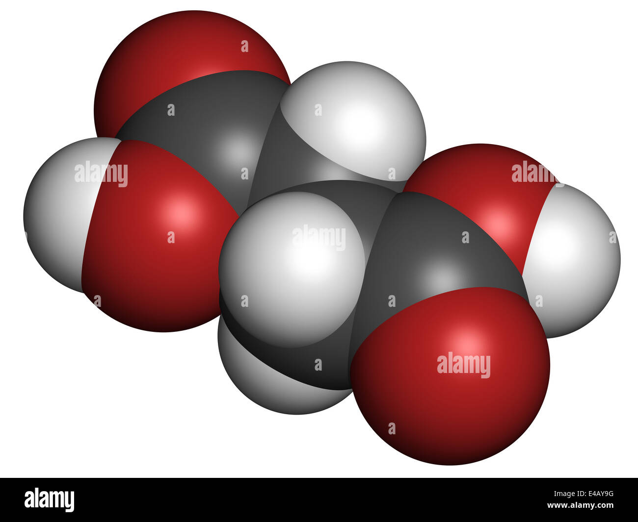 Citric acid cycle hi-res stock photography and images - Alamy