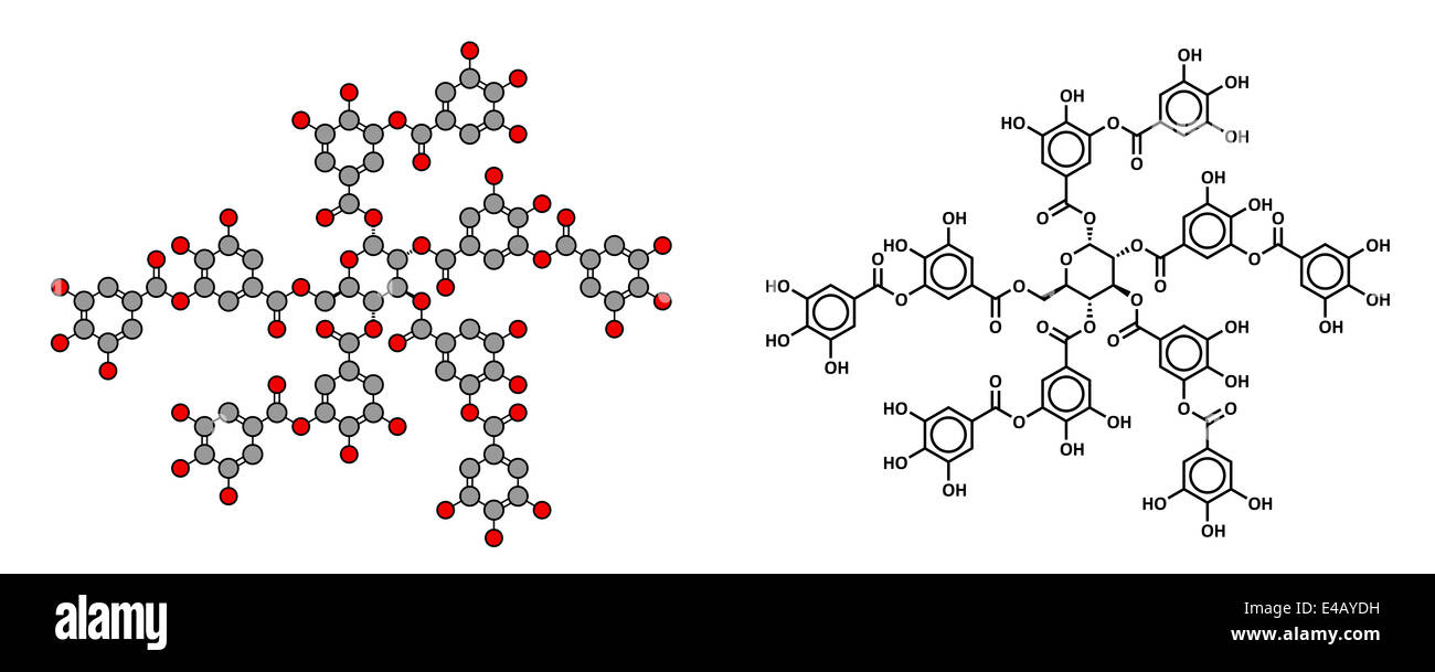 Tannic acid molecule (one isomer shown). Type of tannin. Stylized 2D ...