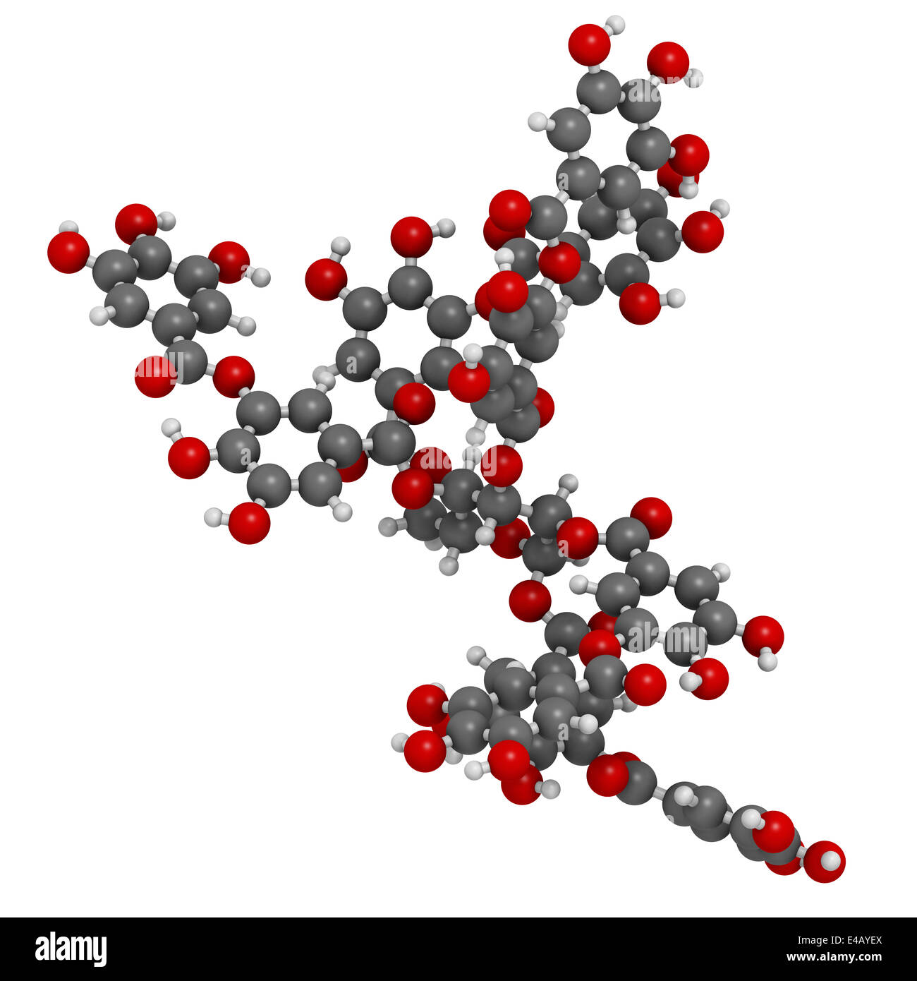 Tannic acid molecule (one isomer shown). Type of tannin Stock Photo - Alamy