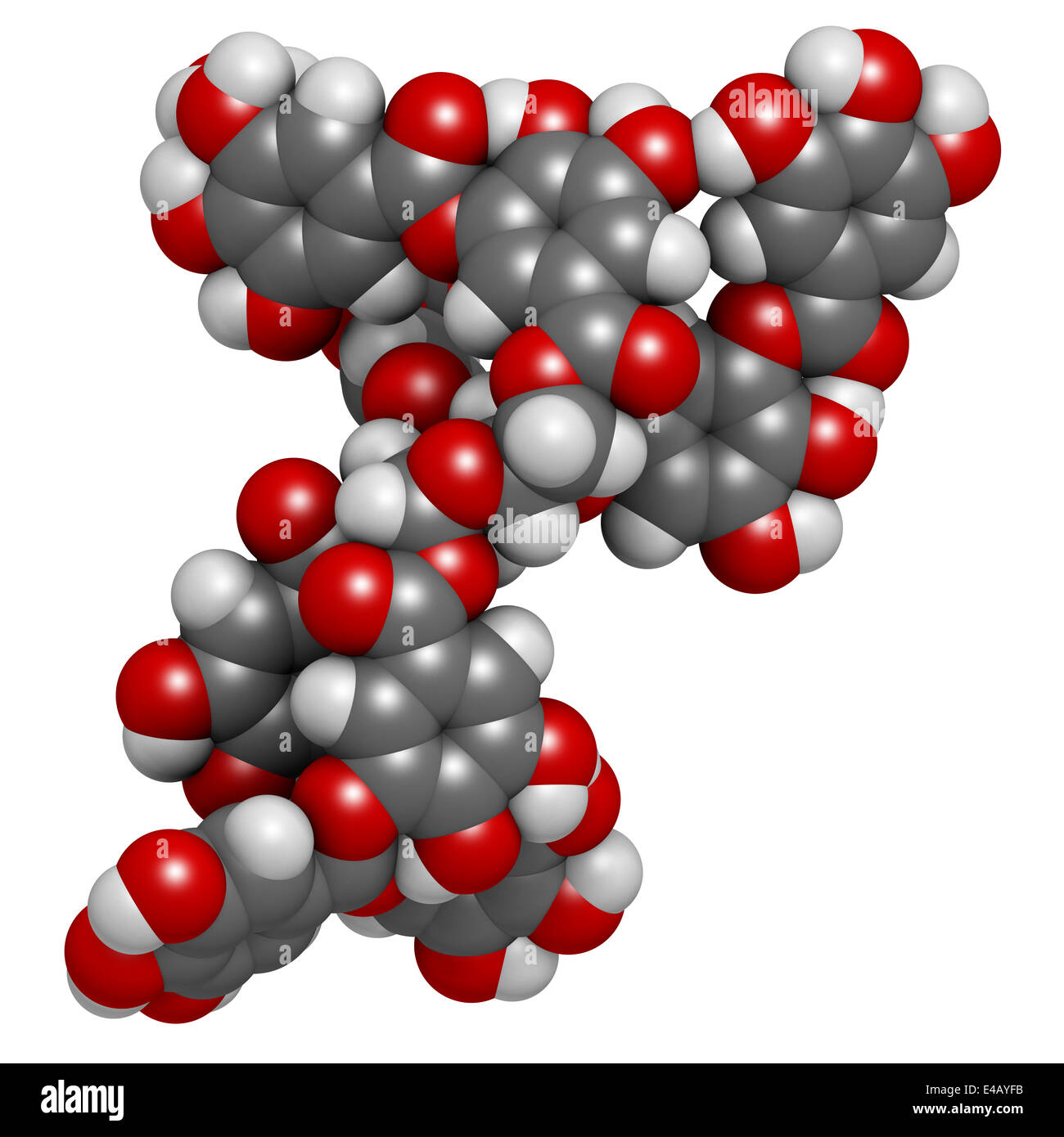 Tannic acid molecule (one isomer shown). Type of tannin Stock Photo - Alamy