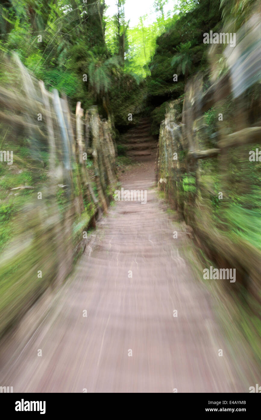 Forest of Dean, Coleford, UK. 8th July, 2014. Actual shoot date varies ...