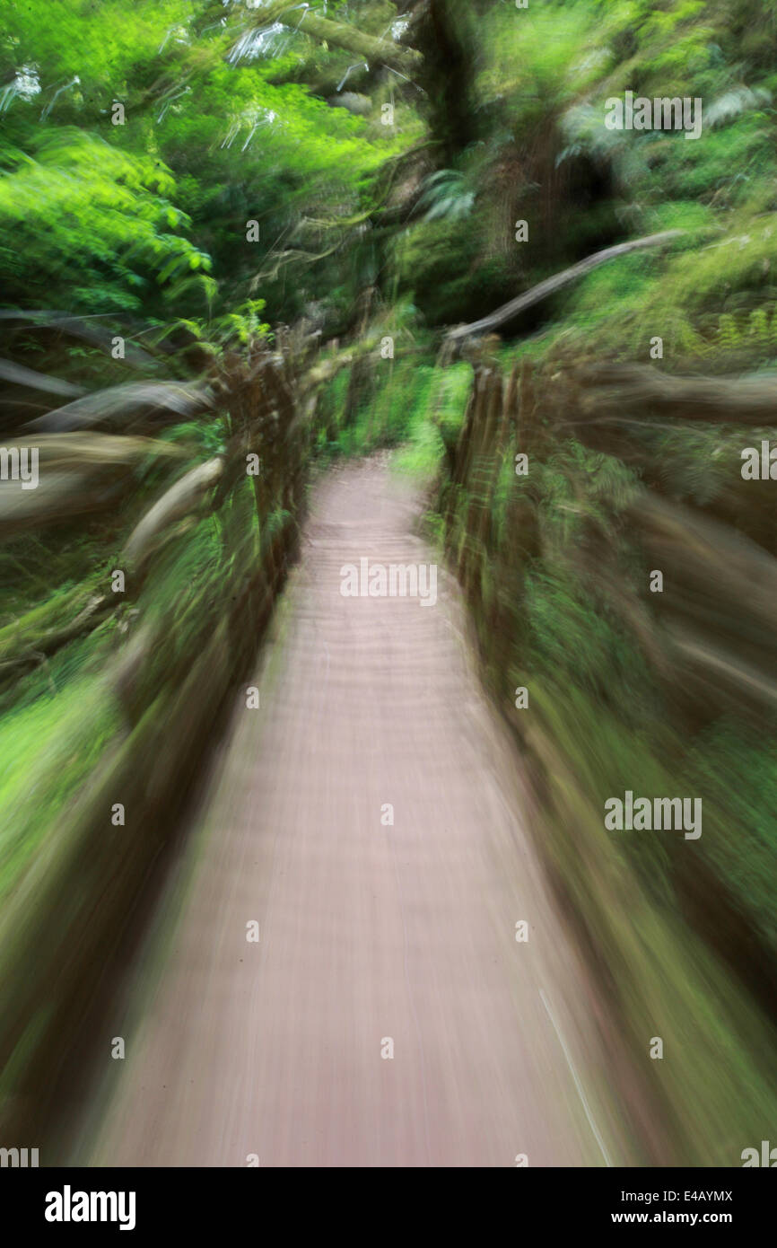 Forest of Dean, Coleford, UK. 8th July, 2014. Actual shoot date varies ...