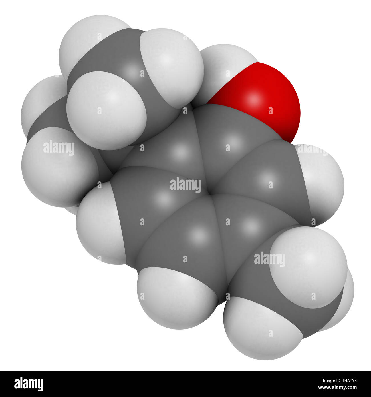 Thymol oil of thyme molecule. Present in kitchen herb Thymus vulgaris ...