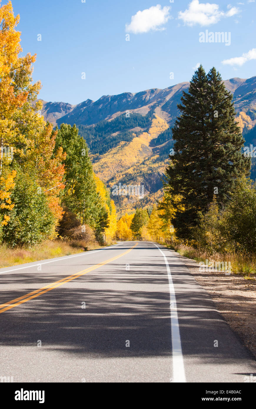 Mountain road through forest of Fall colors Stock Photo - Alamy