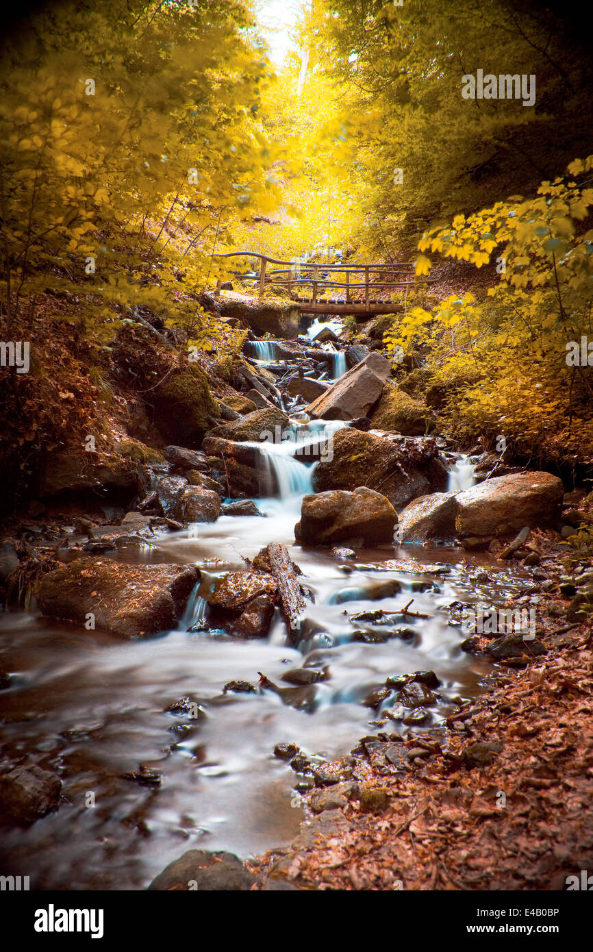 little creek floating around mossy rocks, small waterfall Stock Photo ...