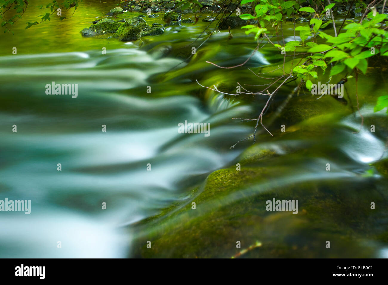 little creek floating around mossy rocks, small waterfall Stock Photo ...