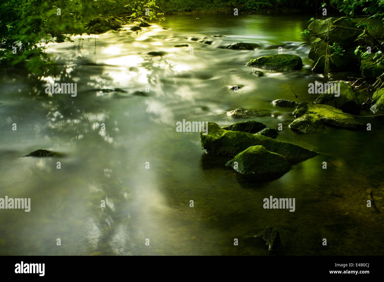 little creek floating around mossy rocks, small waterfall Stock Photo ...