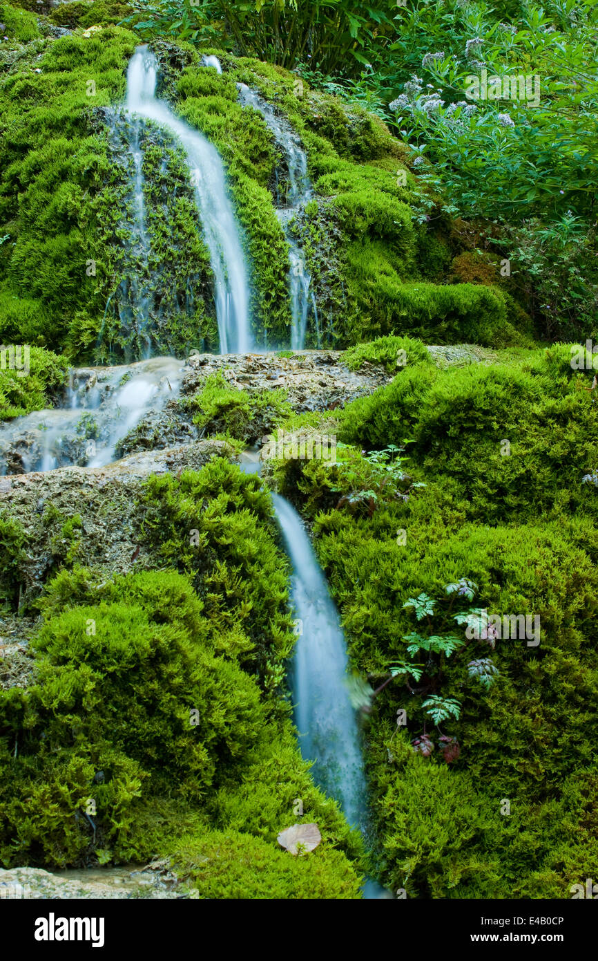 little creek floating around mossy rocks, small waterfall Stock Photo ...