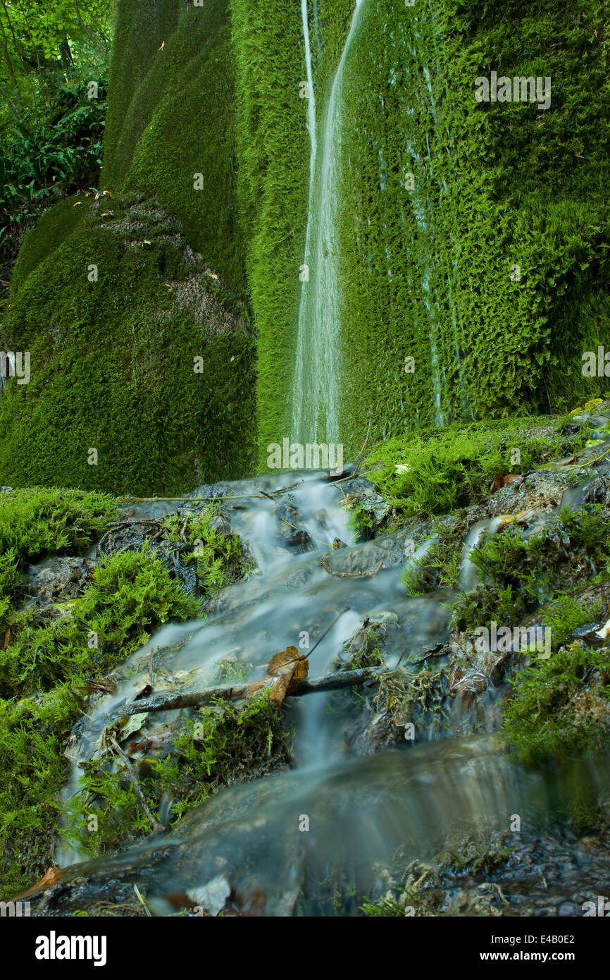 little creek floating around mossy rocks, small waterfall Stock Photo ...