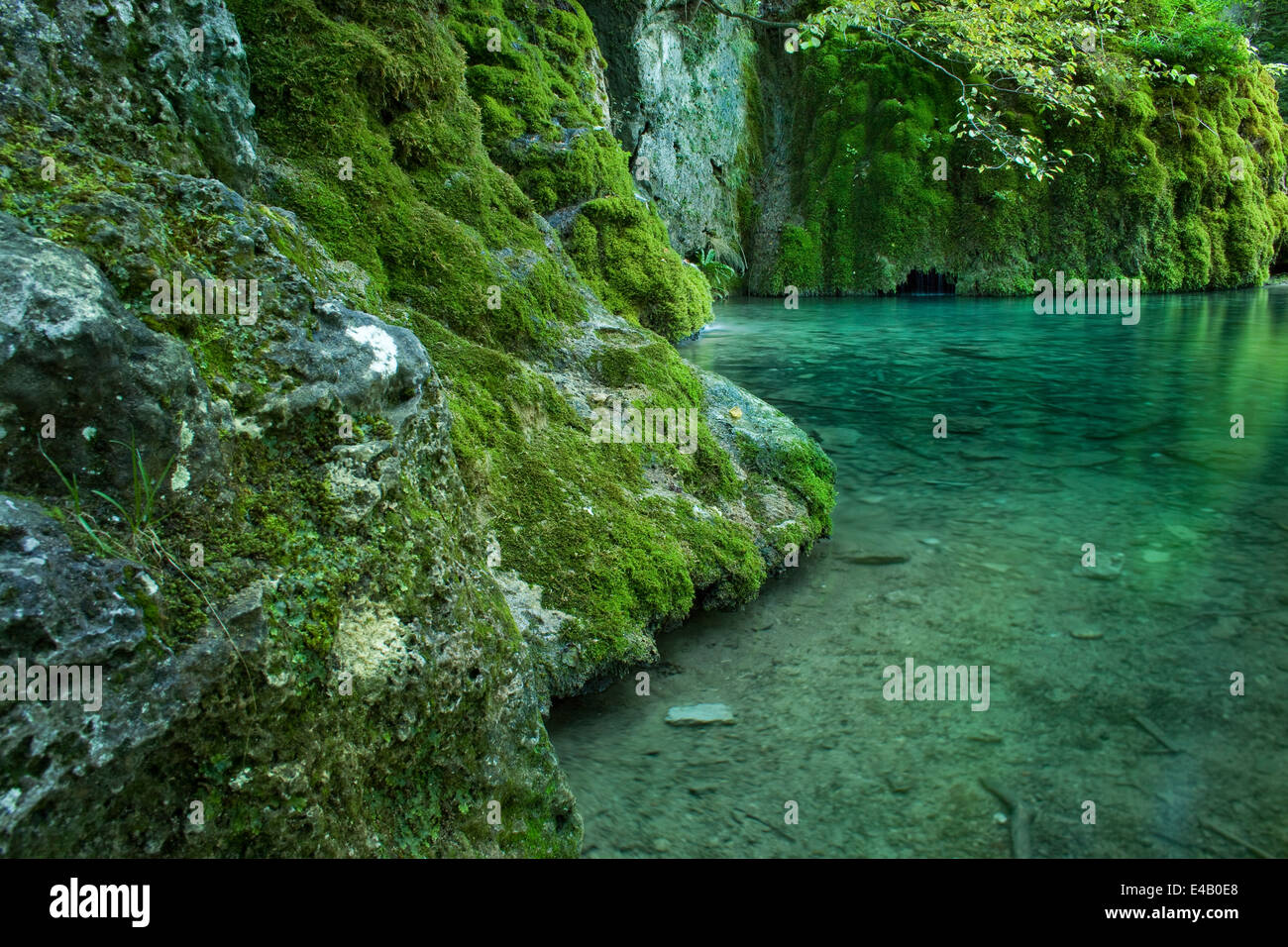little creek floating around mossy rocks, small waterfall Stock Photo ...