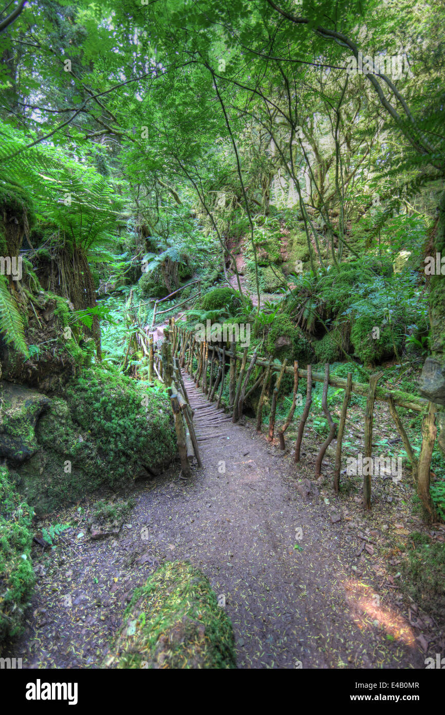 Forest of Dean, Coleford, UK. 8th July, 2014. Actual shoot date varies ...