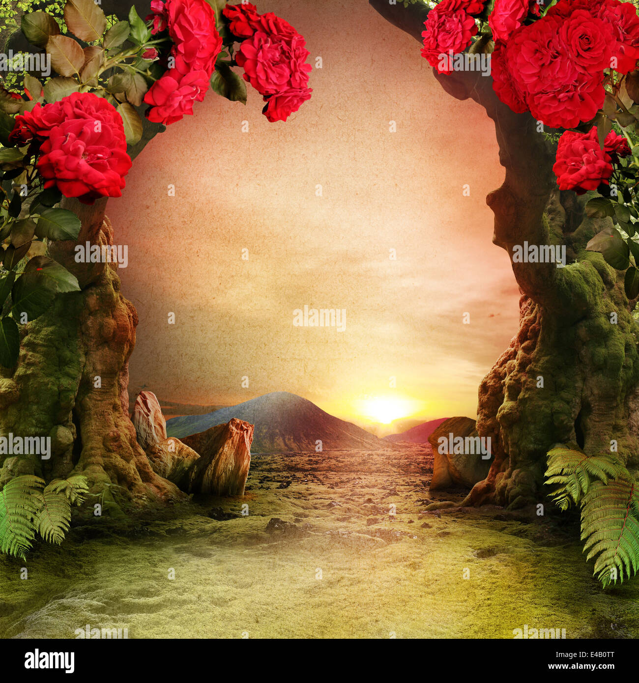 Romantic forest view red roses hi-res stock photography and images - Alamy