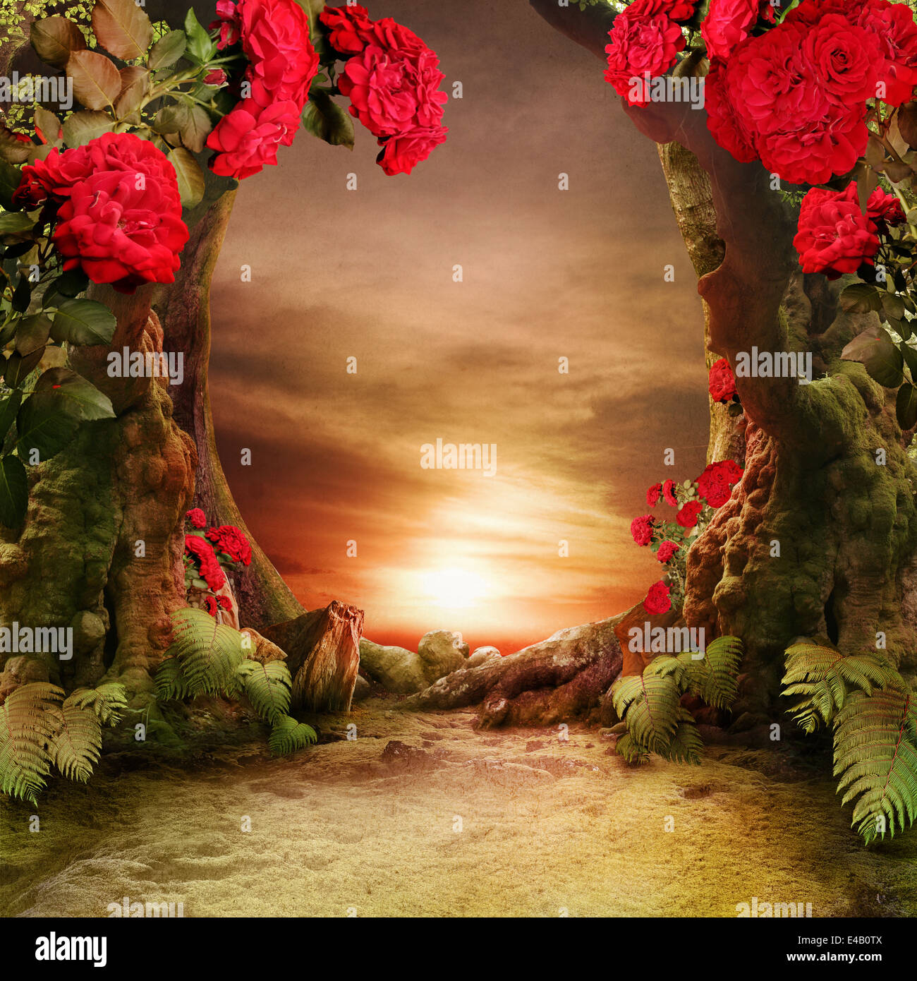 romantic forest view with red roses and old trees Stock Photo - Alamy