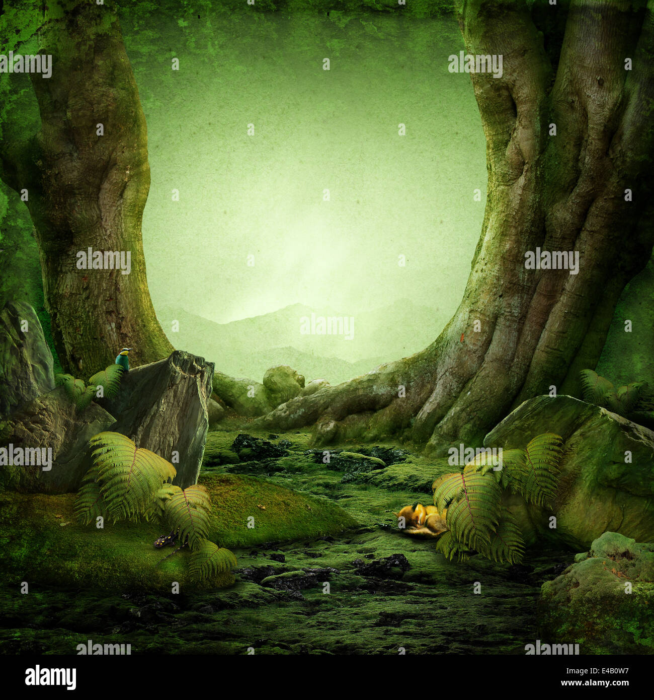 romantic forest landscape with old trees and moss Stock Photo - Alamy