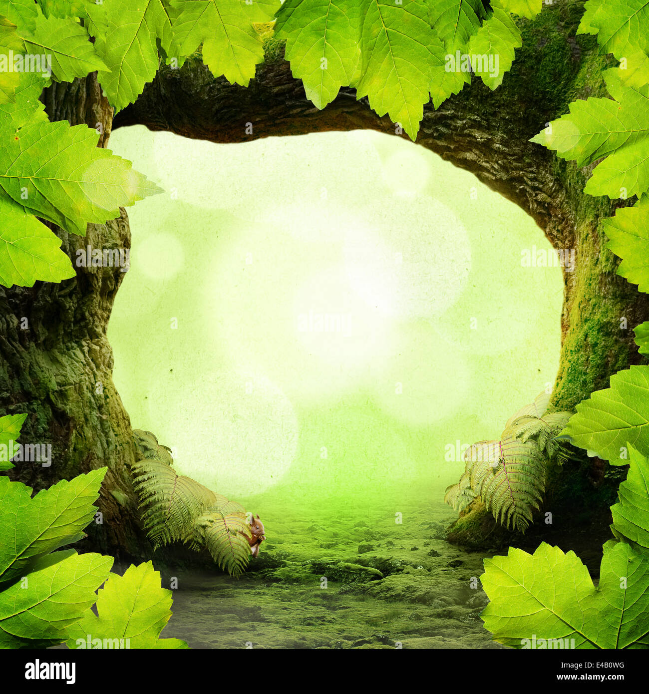 romantic forest landscape with old trees and moss Stock Photo - Alamy