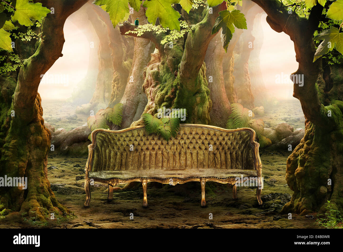 romantic forest landscape with old trees and moss and an antique sofa ...