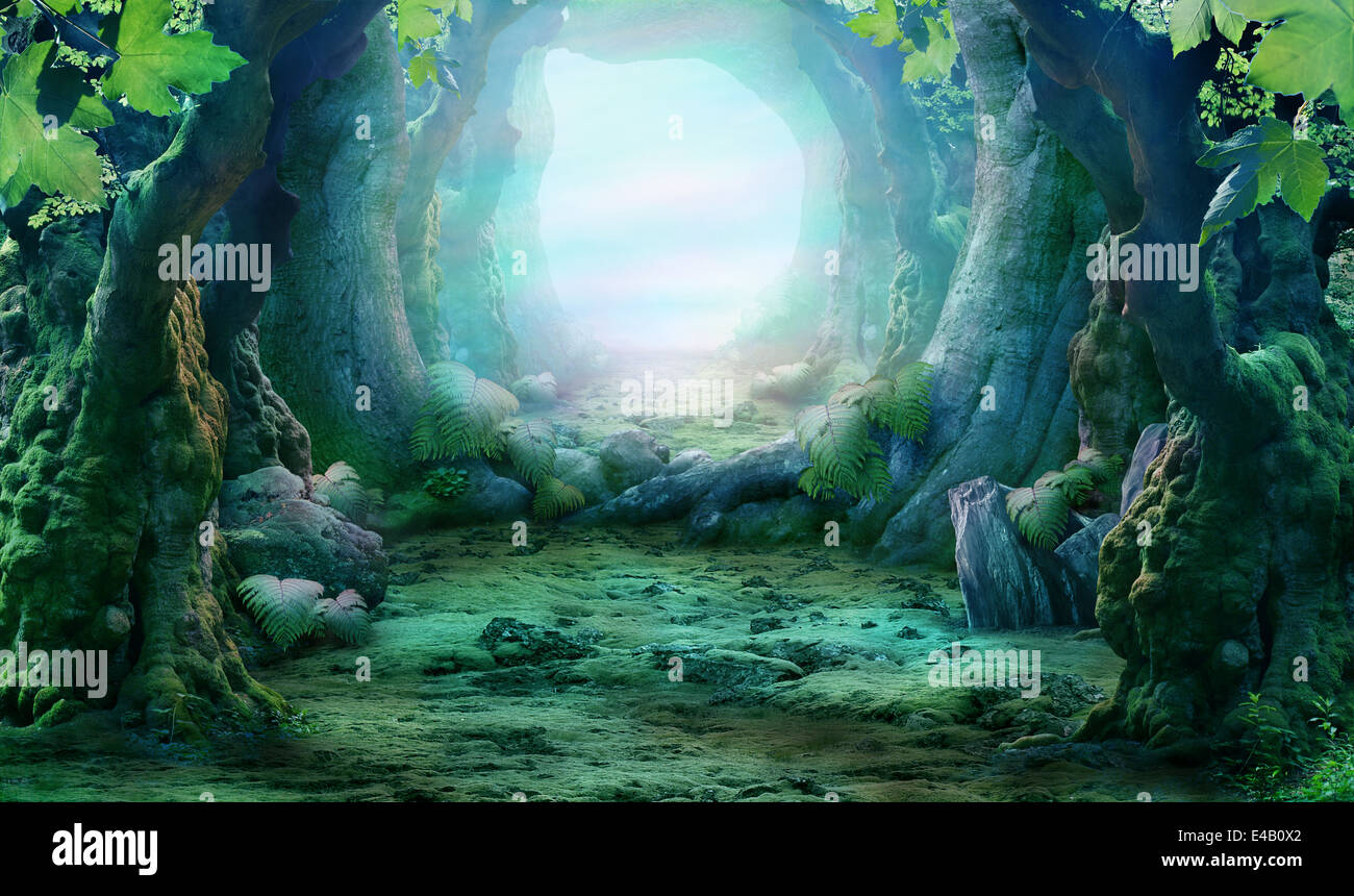 romantic forest landscape with old trees and moss Stock Photo - Alamy