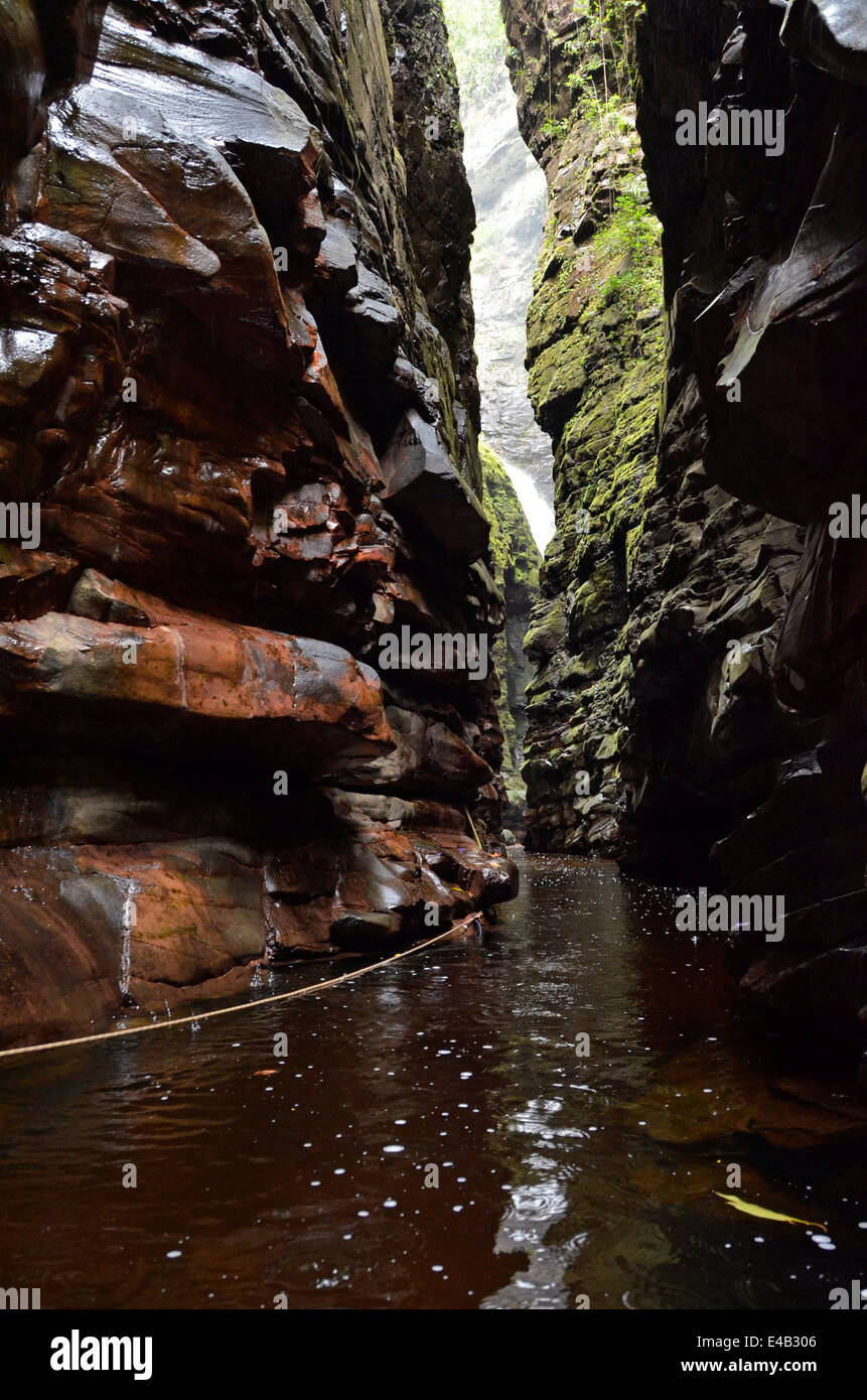 Kavac hi-res stock photography and images - Alamy