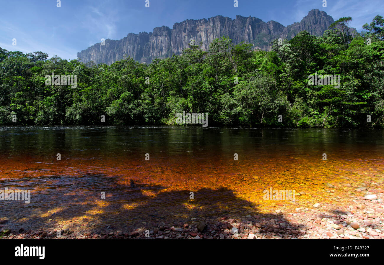 Auyantepui hi-res stock photography and images - Alamy