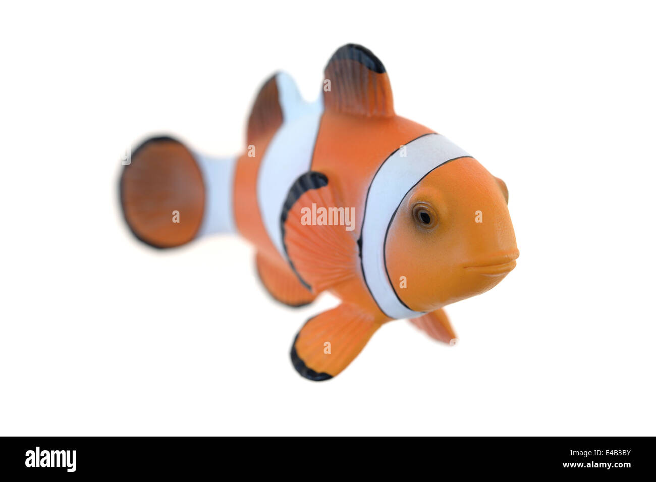 A close up shot of a Clown Fish Stock Photo - Alamy