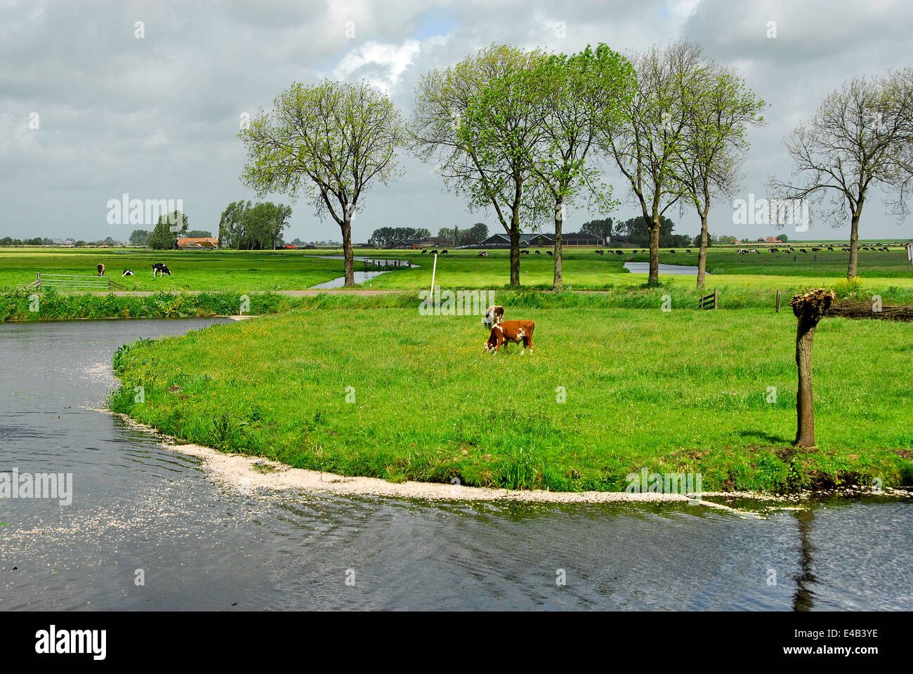 Pasture dam bridge hi-res stock photography and images - Alamy