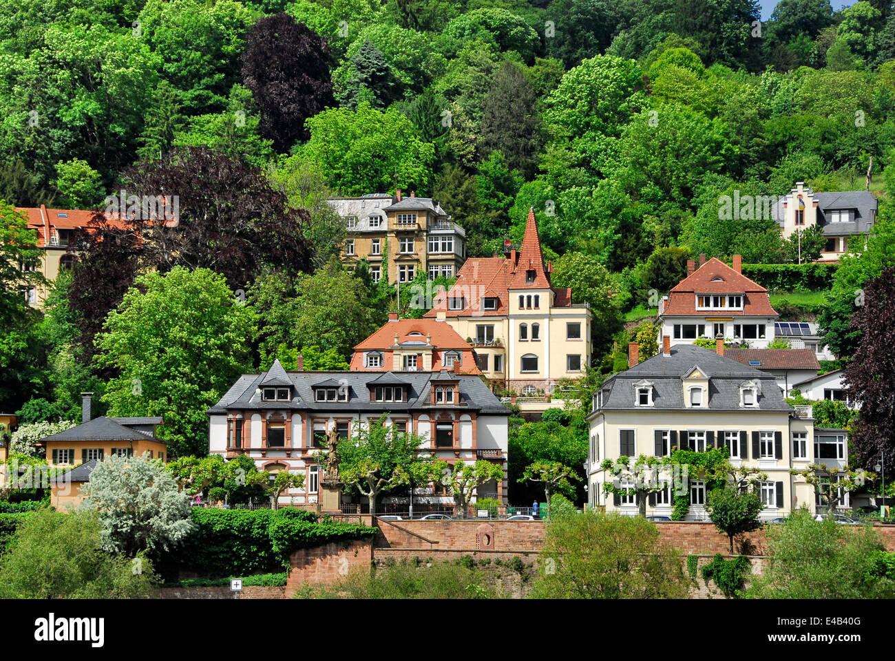Mansions across the River Neckar in Heidelberg, Germany Stock Photo - Alamy