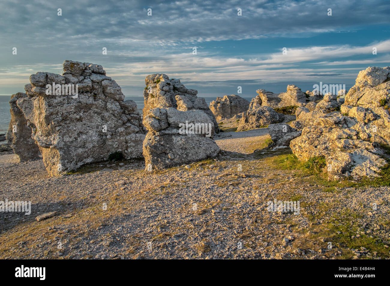 Nordic light at Langhammars on Faro island in Sweden Stock Photo - Alamy