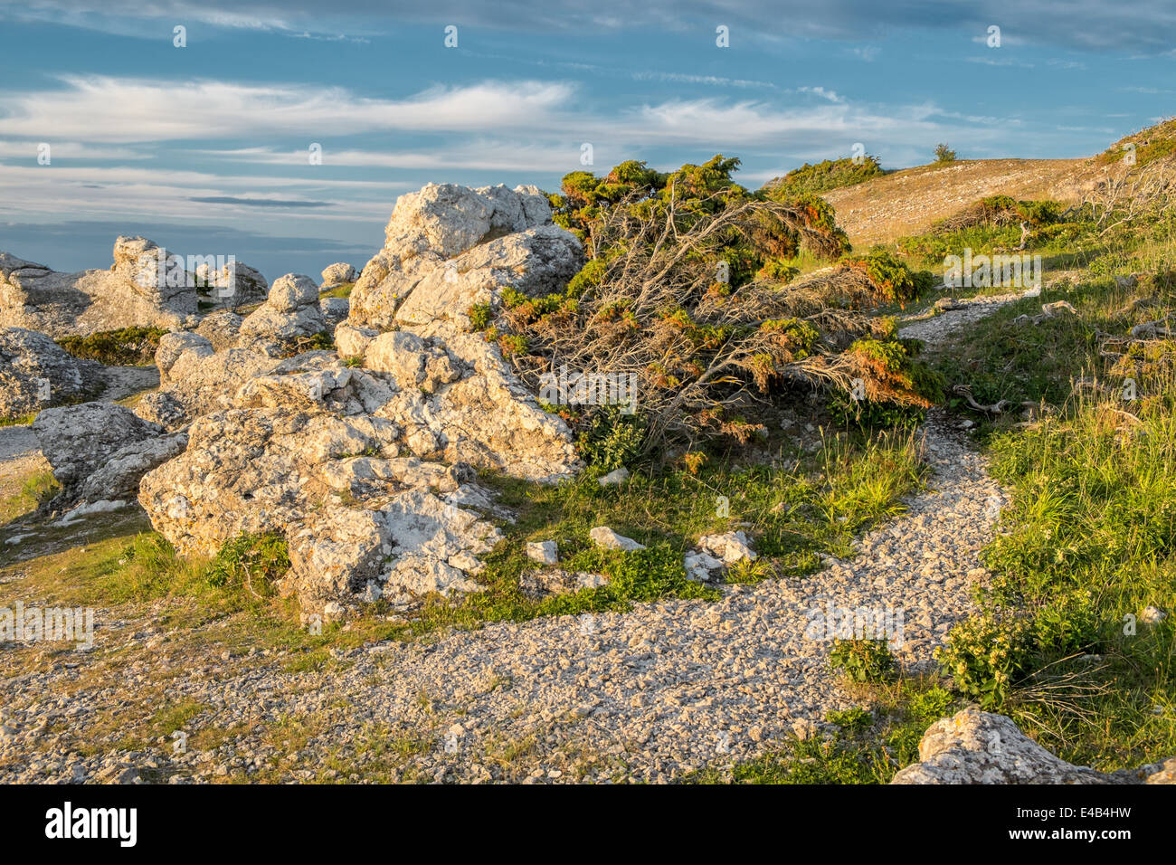 Nordic light at Langhammars on Faro island in Sweden Stock Photo - Alamy