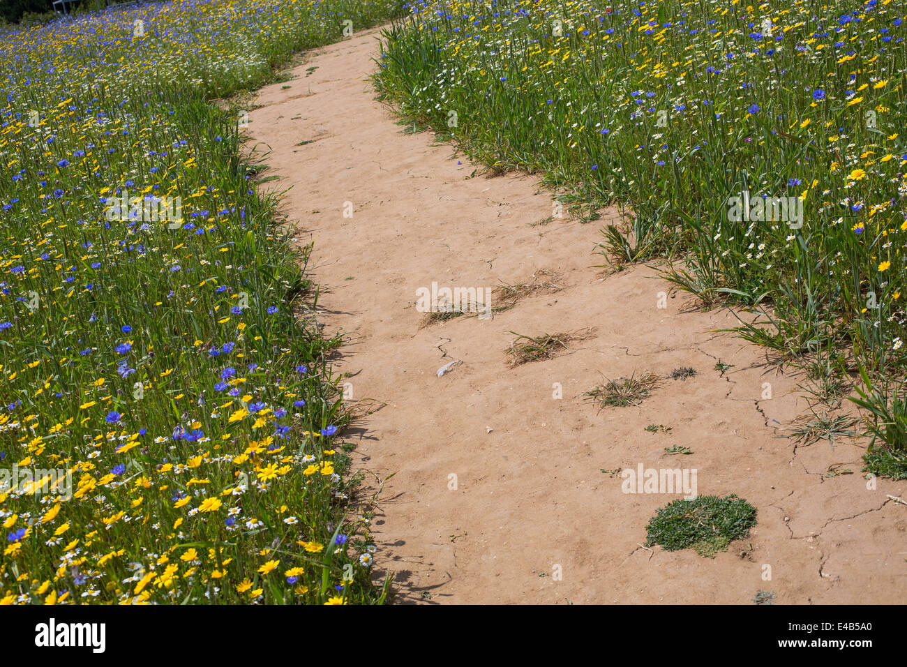 Trodden hi-res stock photography and images - Alamy