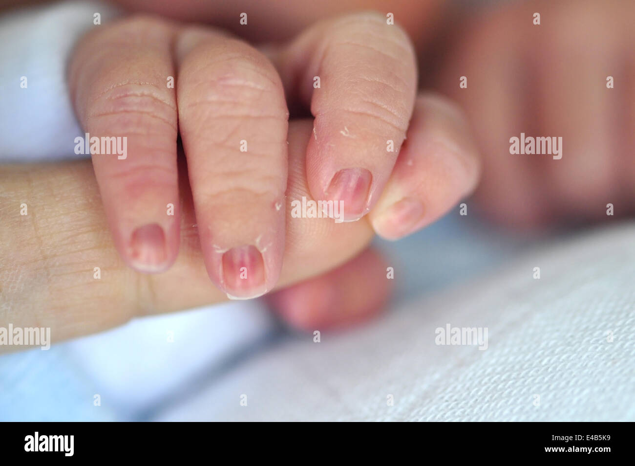 Baby Holding Parent's Finger Stock Photo - Alamy