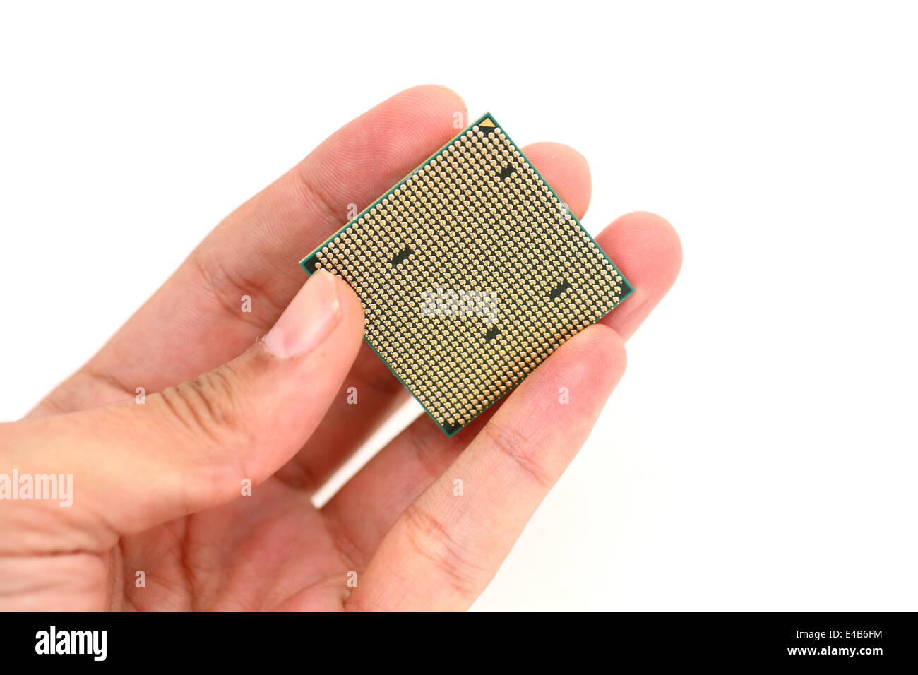 Processor in the hand Stock Photo - Alamy