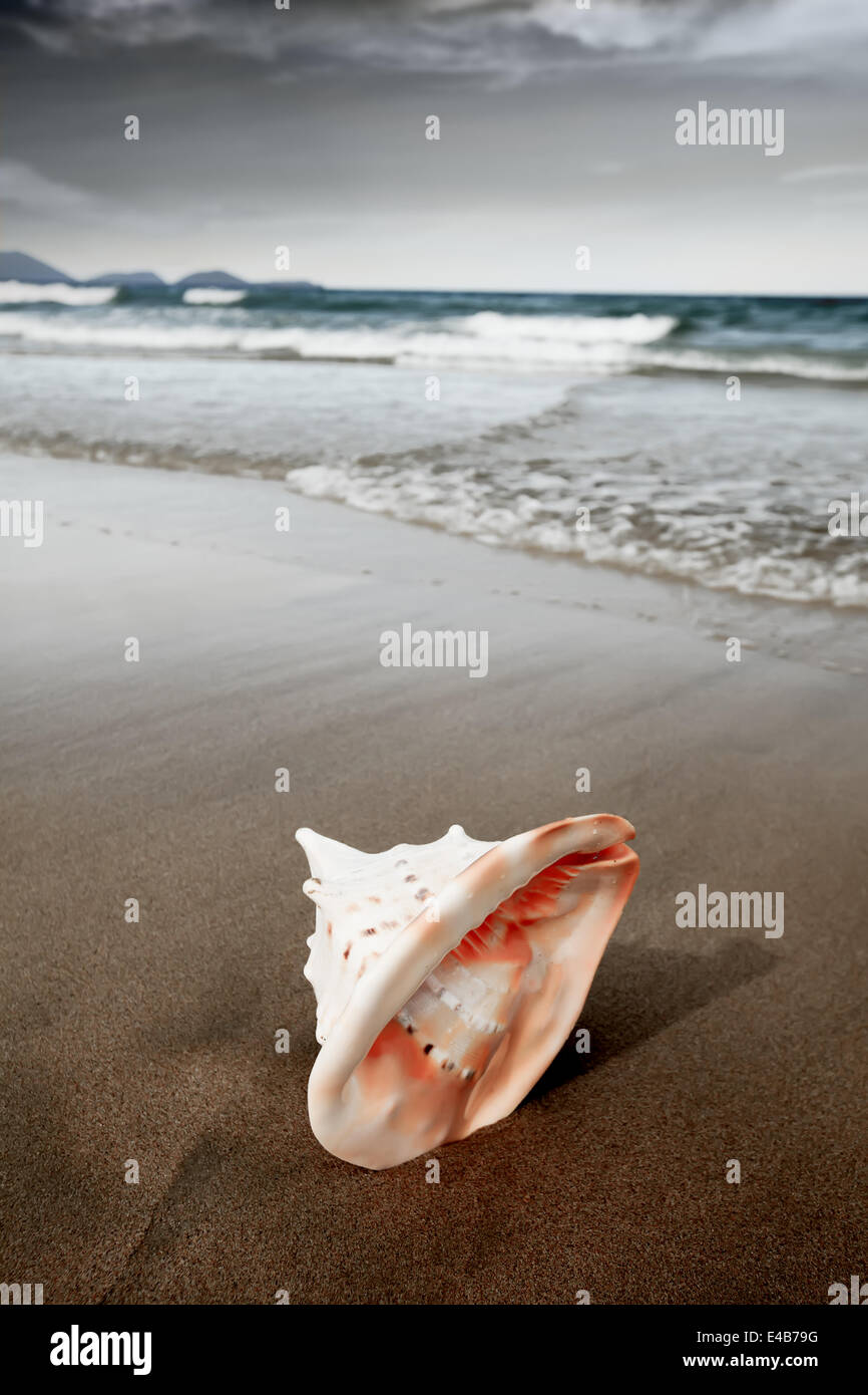 Seashell cove hi-res stock photography and images - Alamy