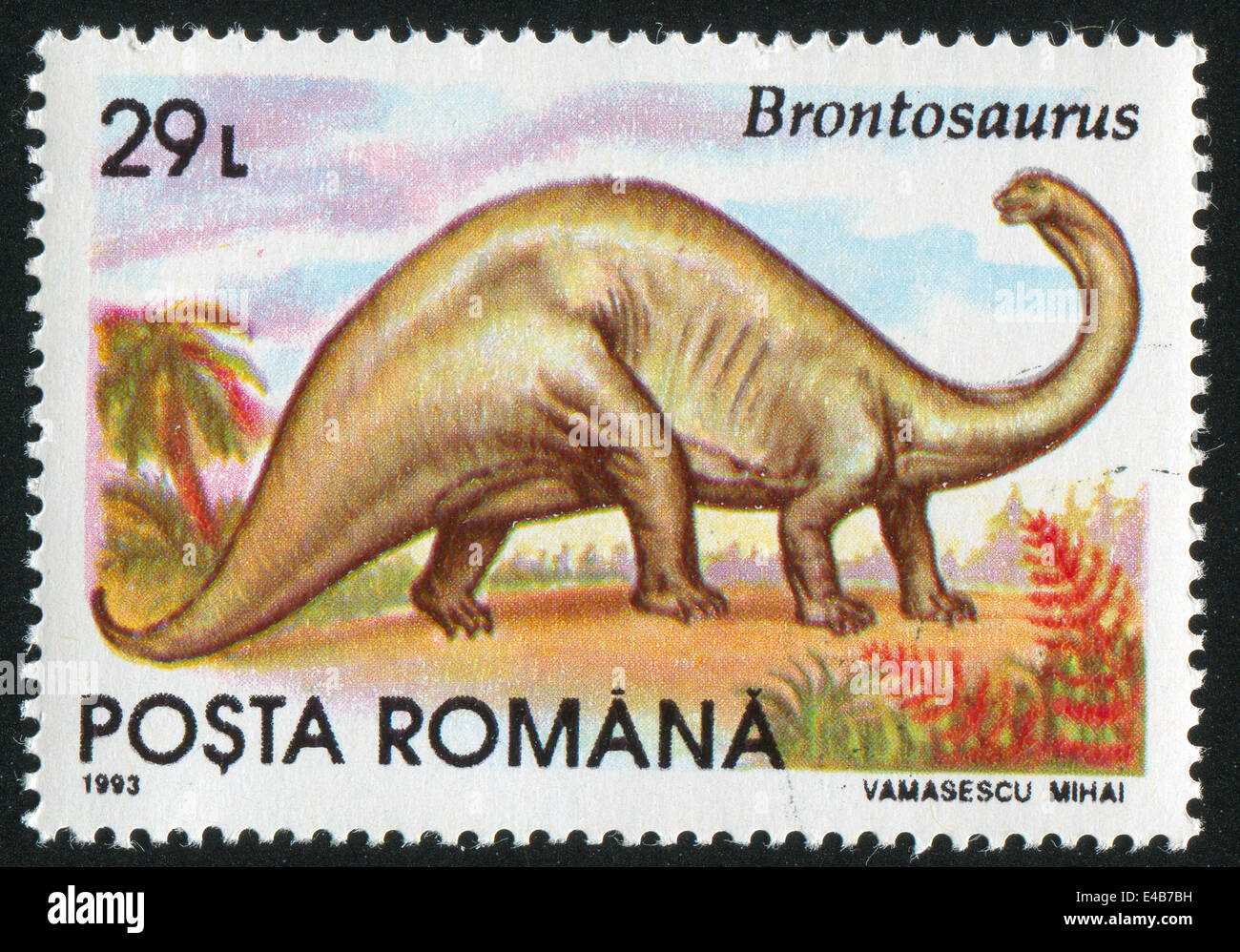 Brontosaurus teeth hi-res stock photography and images - Alamy