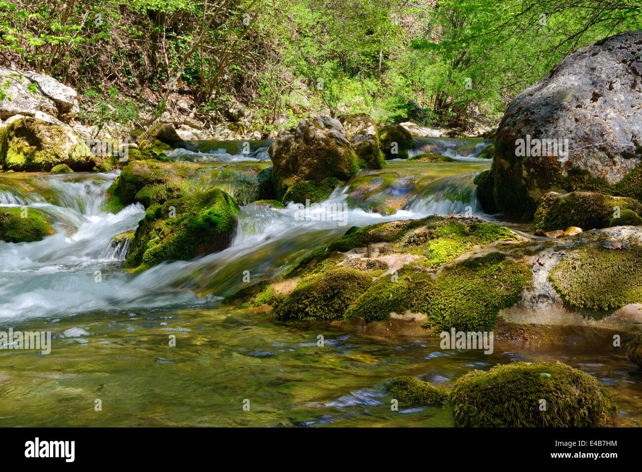 Blurred river water tree hi-res stock photography and images - Alamy