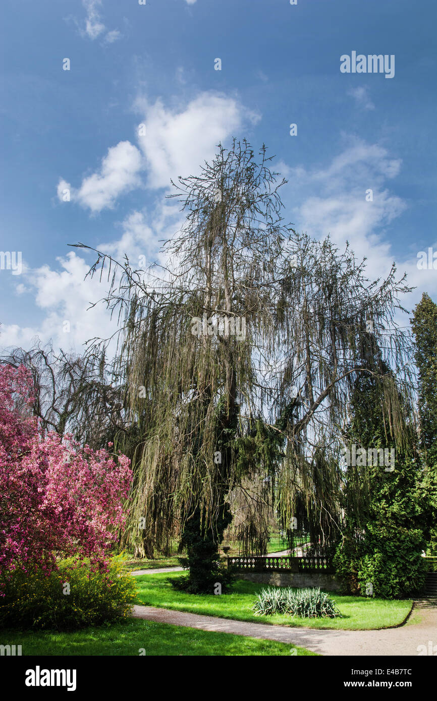 Mansion flowering spring trees hi-res stock photography and images - Alamy