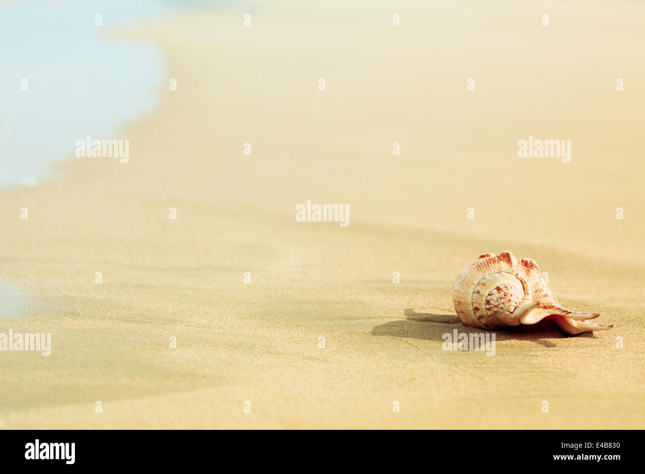 Seashell cove hi-res stock photography and images - Alamy